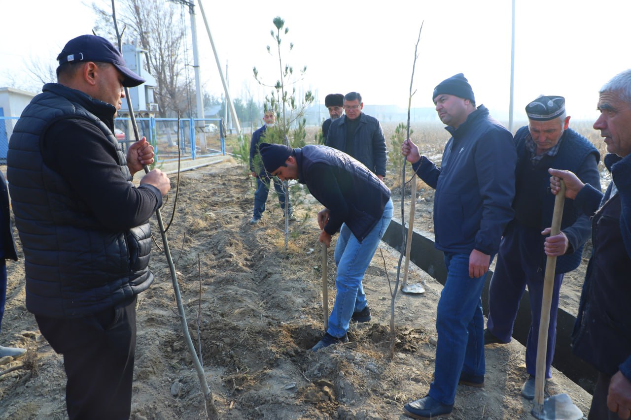 Farg‘ona tumanida “Yashil makon” loyihasi doirasida ko‘chat ekish ...