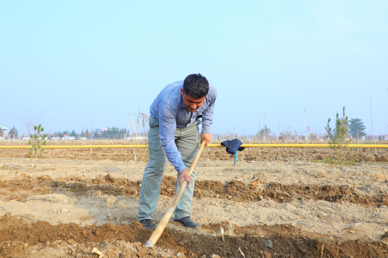 Farg‘ona tumanida “Yashil makon” loyihasi doirasida “Yoshlar bog‘i”da ...