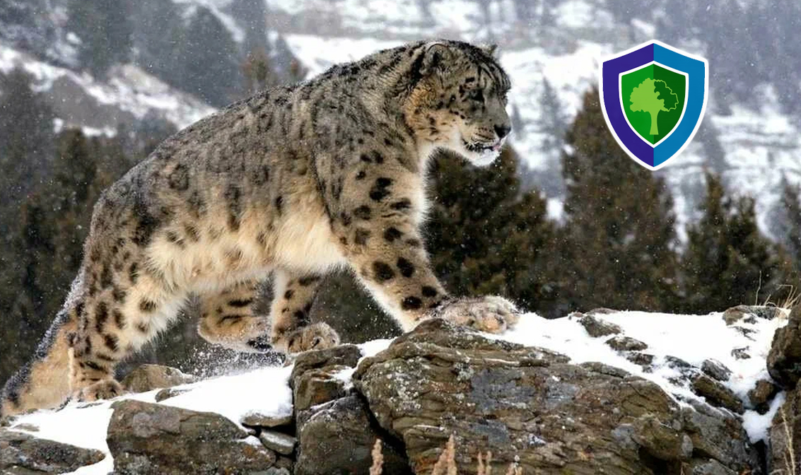 “Zomin” davlat qo‘riqxonasi