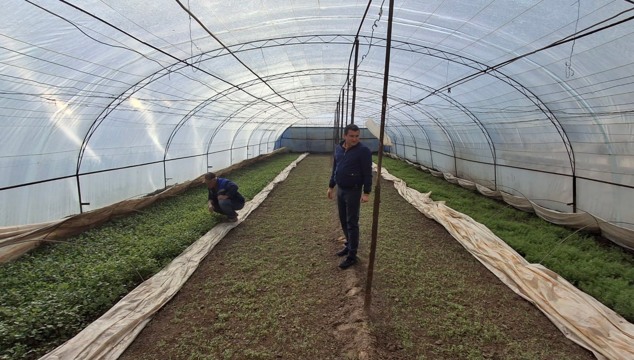 Buxoro shahrida “Otbozor” tomorqa tajribasi ommalashtirilmoqda